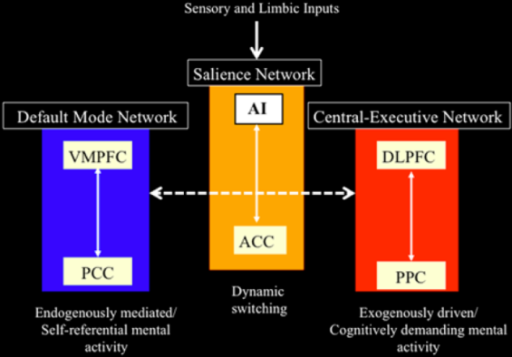 Salience network - 天王寺こいでクリニック 心療内科・神経内科・栄養療法